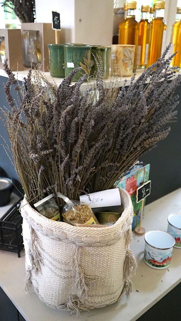 Krumke in der Altmark: ein Schloss, ein Park und perfektes Landleben ...