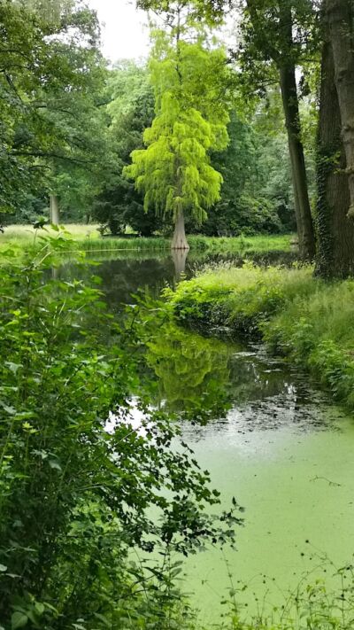 Krumke in der Altmark: ein Schloss, ein Park und perfektes Landleben ...